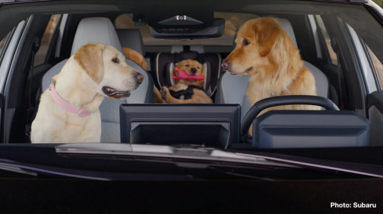 Subaru Unleashes Canine TV Ads for New Models – “Dog Tested. Dog ...