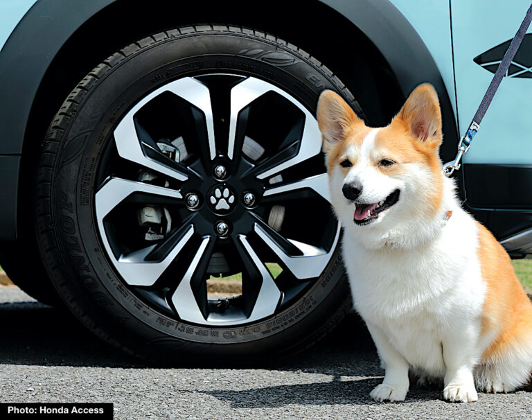 Honda Dog Turns 20 – Honda Access Dog Friendly Accessories in Japan ...