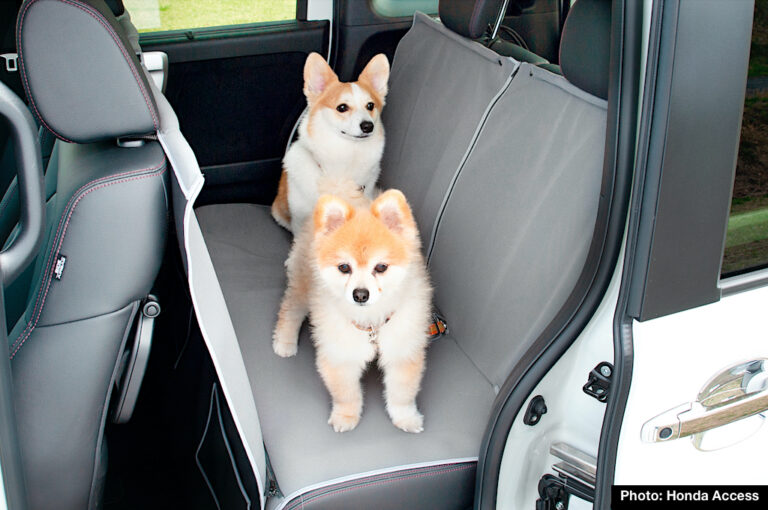 Honda Dog Turns 20 – Honda Access Dog Friendly Accessories in Japan ...